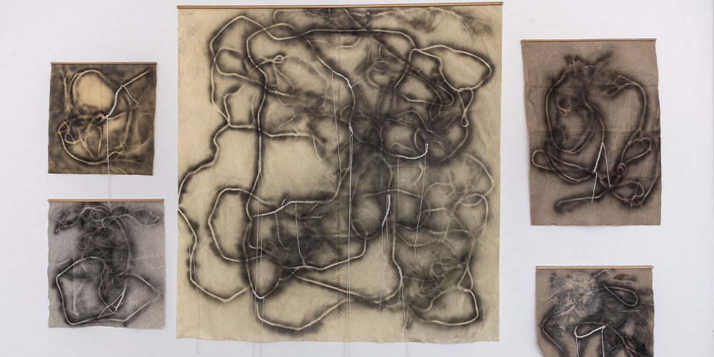 5 Questions with Deborah Fischer about art and her Jodhpur art residency