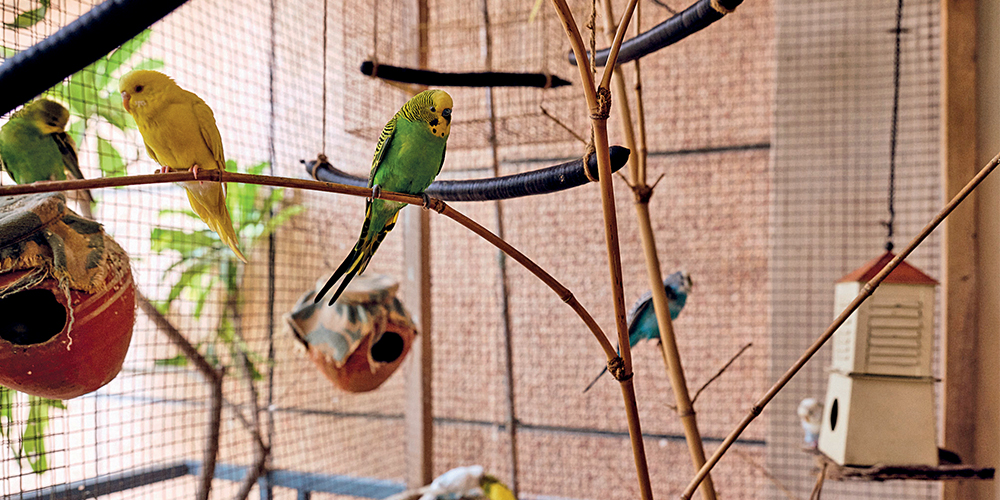 Artist Manisha Gera Baswani opens the doors to her eclectic abode ...