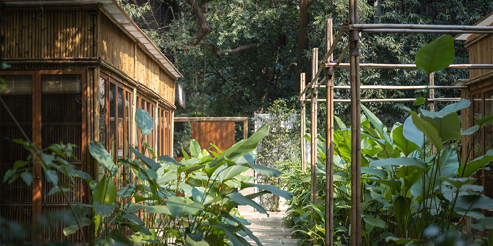 At Mahati Wellness in Mumbai, RAD Co+Lab sculpts an effortless ...