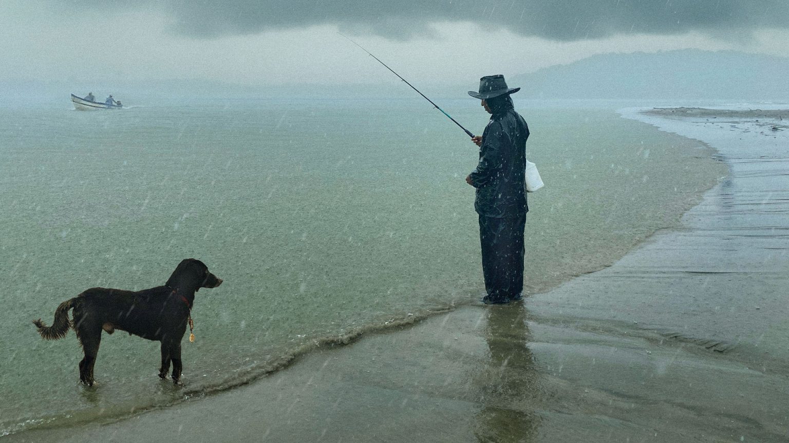 Rain Dogs by Rohit Chawla captures Goa's strays in the pandemic