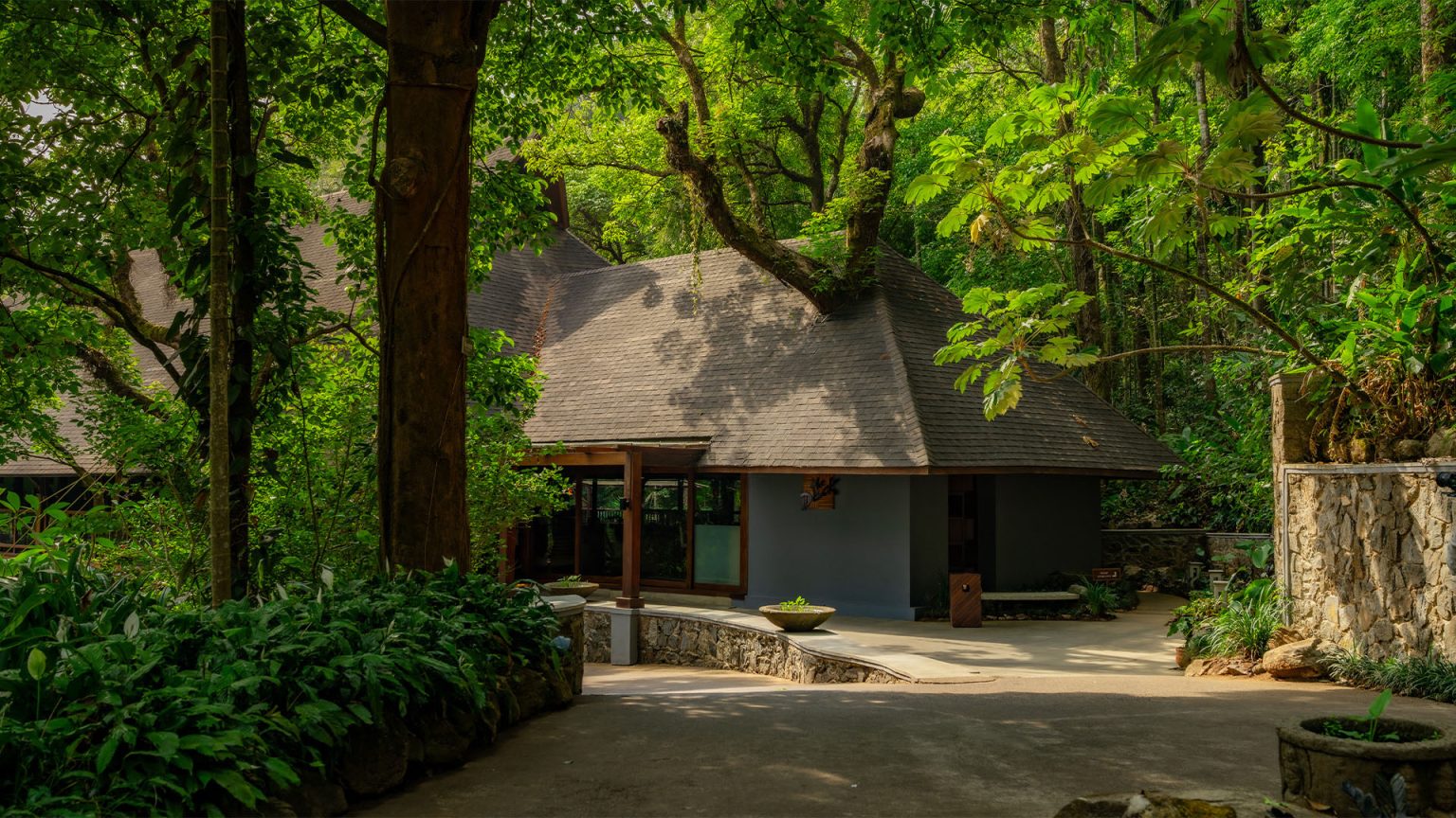 10 eco-friendly Coorg stays to book now!