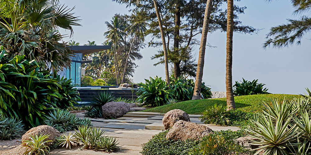 Xeriscaping 101: Landscape architect Kunal Maniar shares pointers on ...